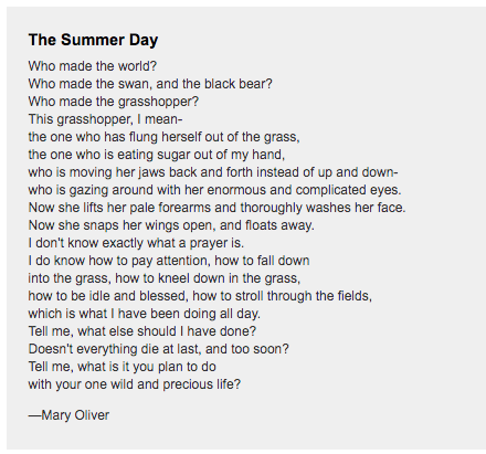 NOVA Lab–Second Day Reflection – Innovation Lab